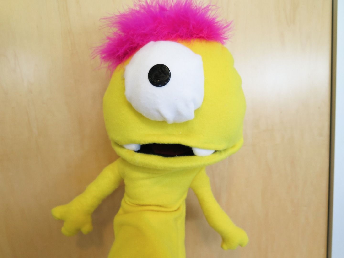Make a Muppet Puppet! : 10 Steps (with Pictures) - Instructables