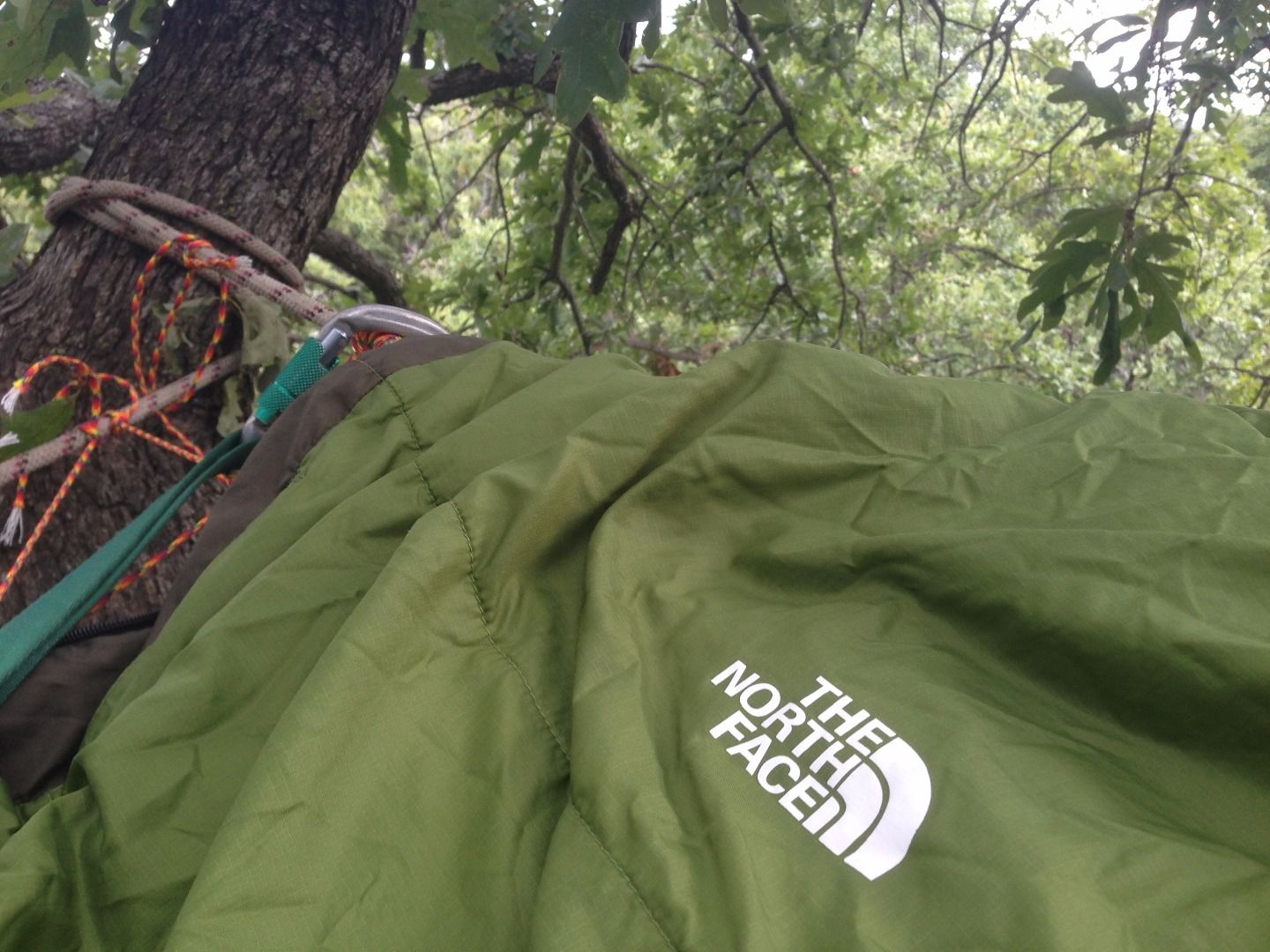 Tree Net : 5 Steps (with Pictures) - Instructables