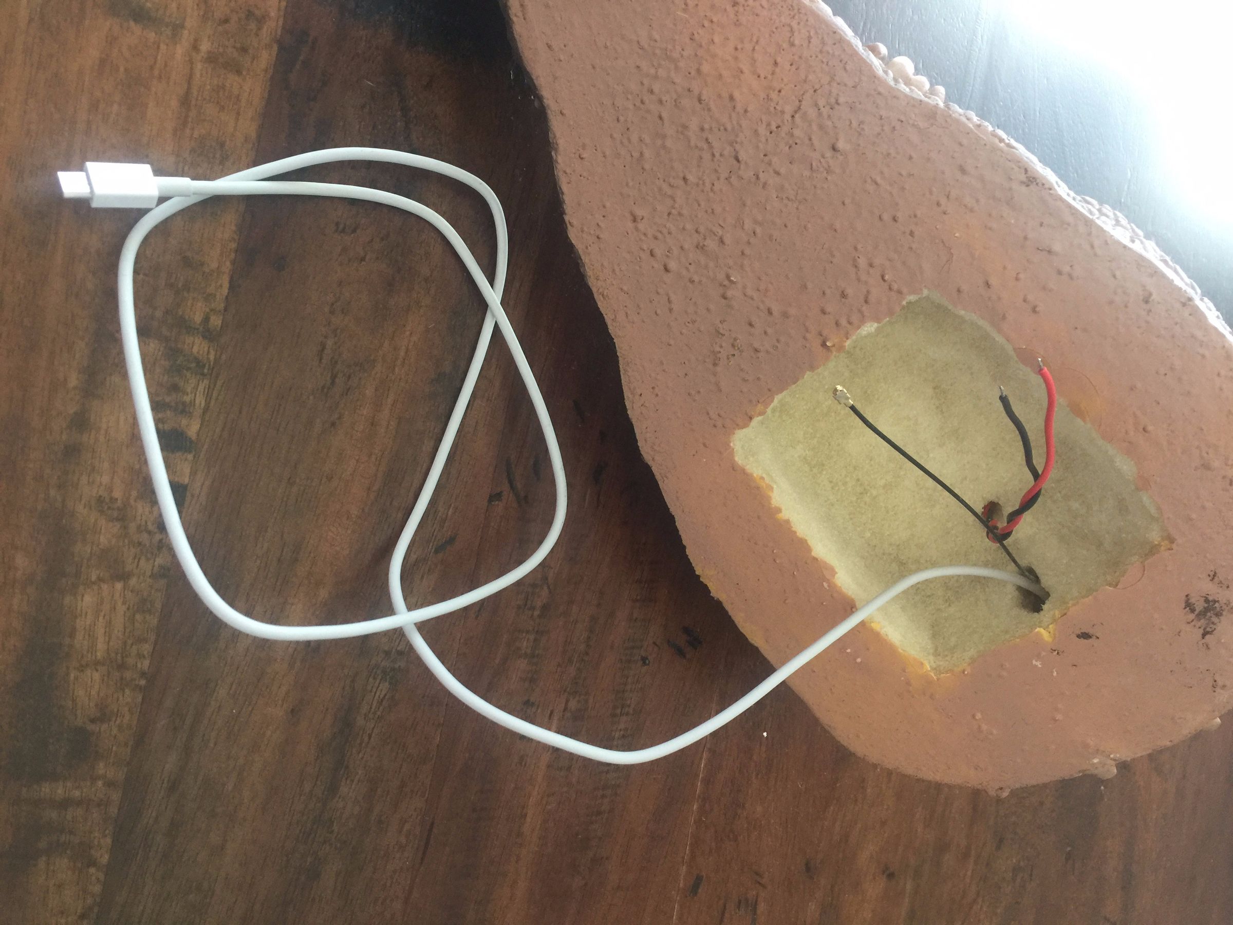 Crocodile Solar Pool Sensor : 7 Steps (with Pictures) - Instructables