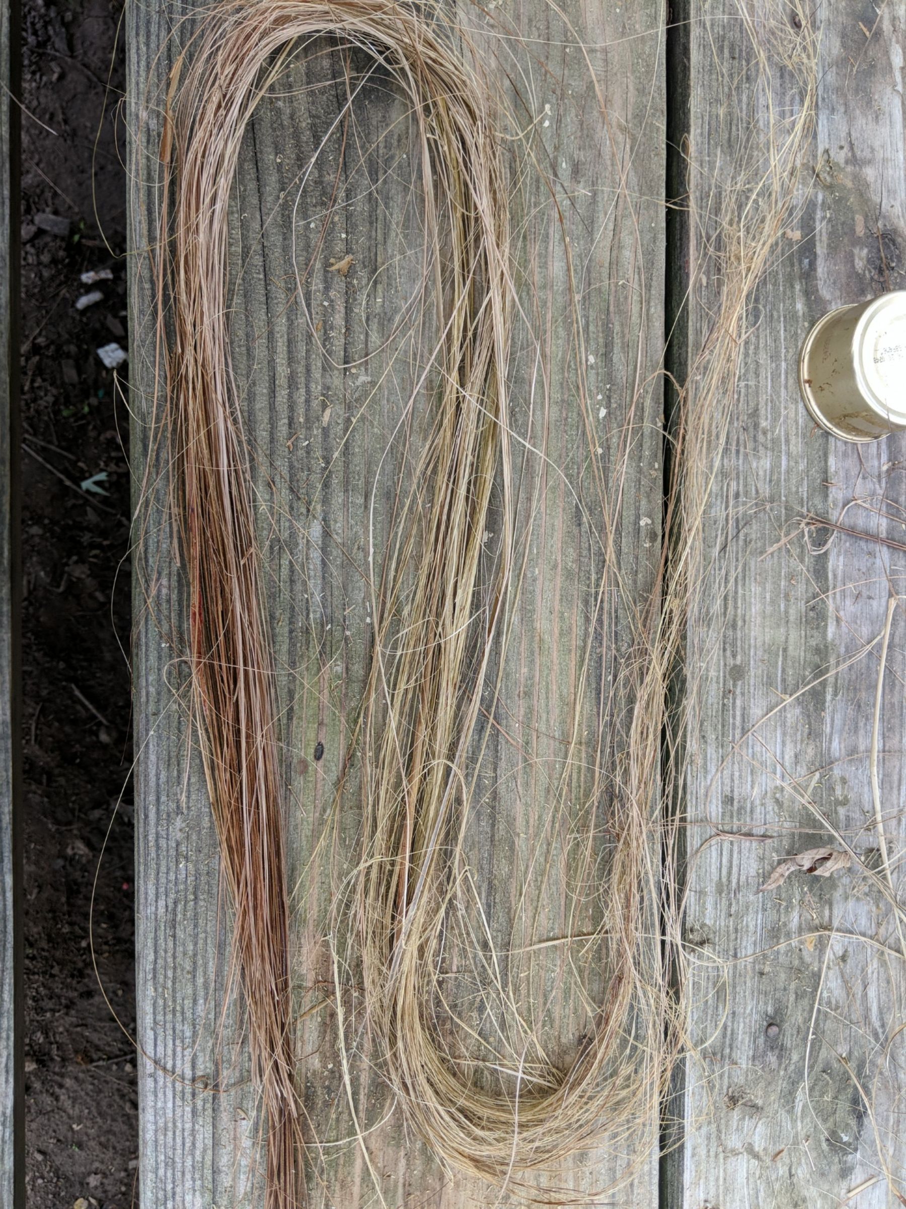 How To Make Rope Out Of Leaves at Leon Hendricks blog