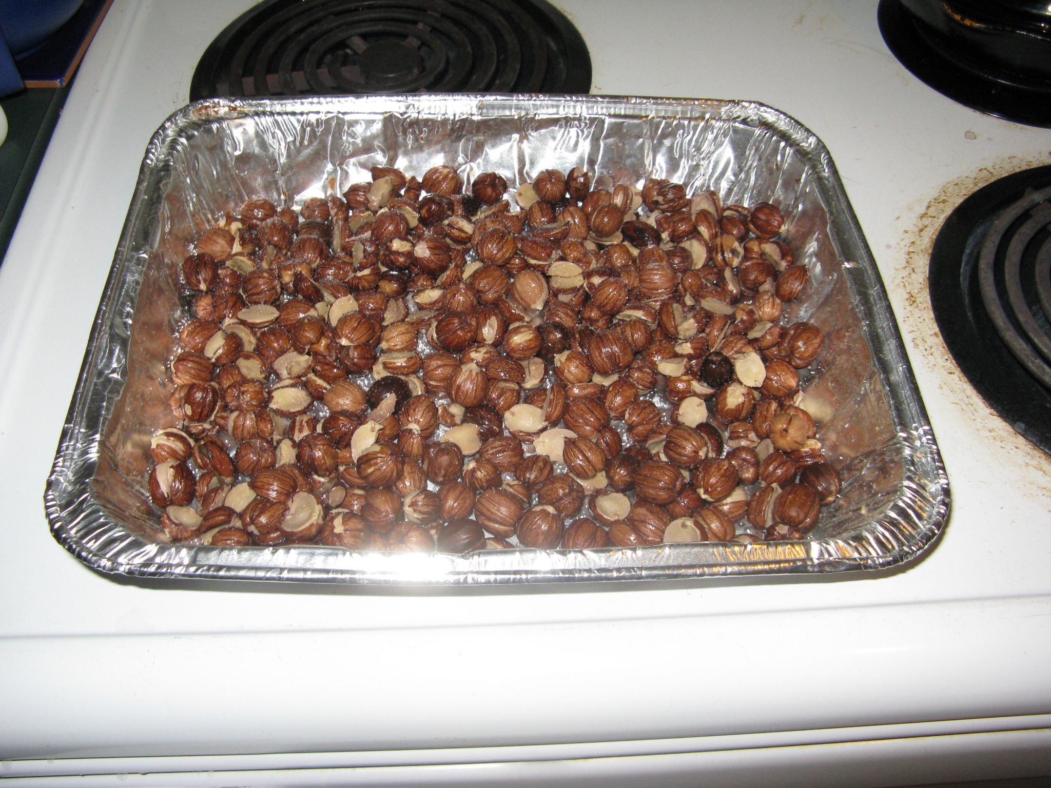 Three Essential Groups of Wild Edible Plants : 19 Steps (with Pictures ...