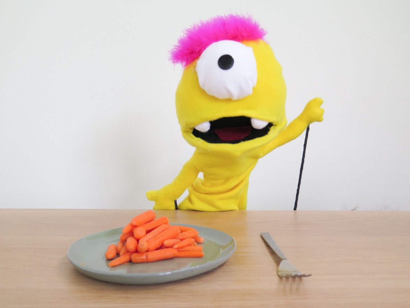 Make a Muppet Puppet! : 10 Steps (with Pictures) - Instructables