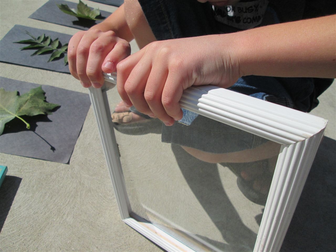 DIY Construction Paper Solar Prints : 6 Steps (with Pictures ...