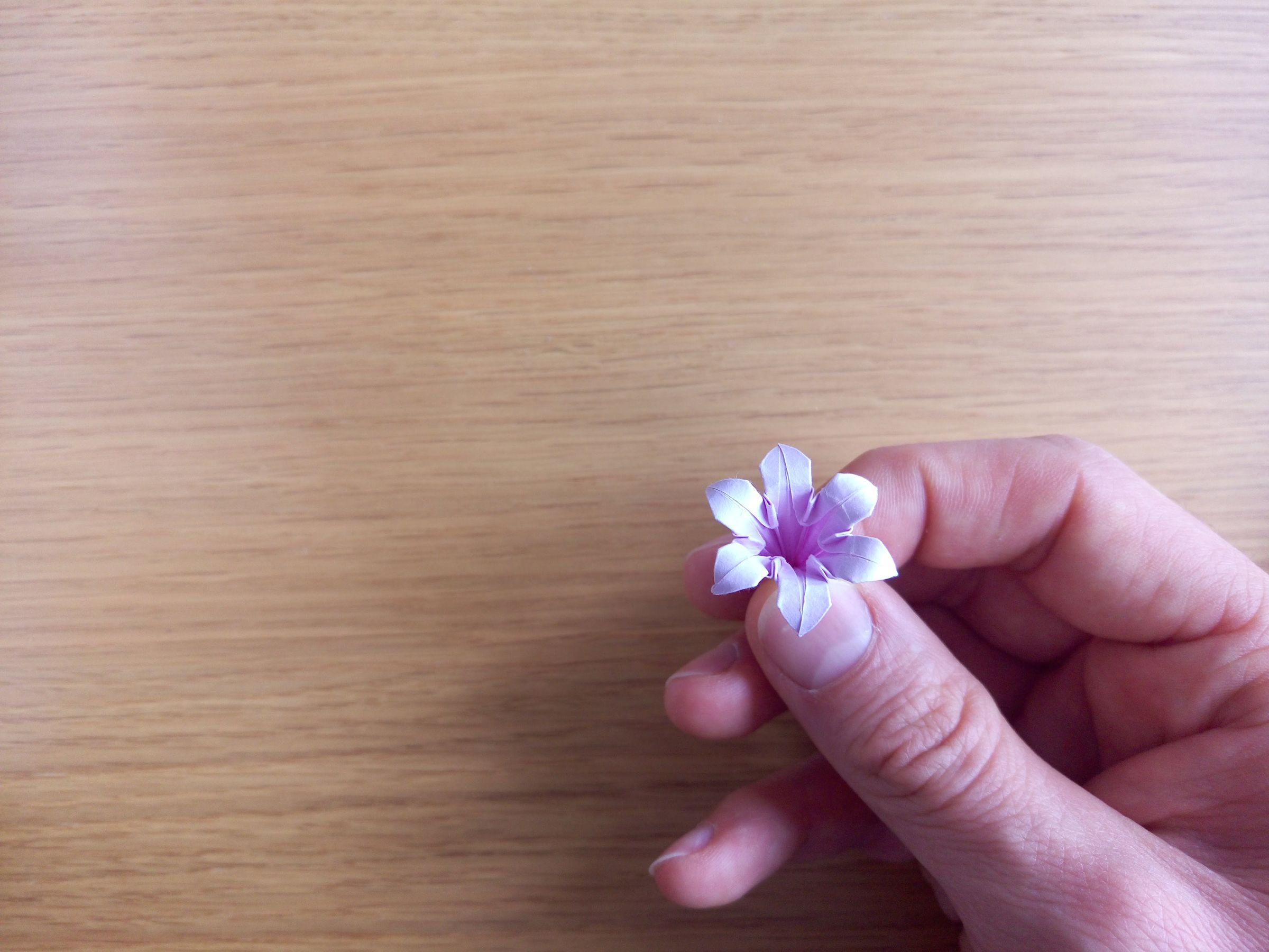 Origami Hyacinth : 9 Steps (with Pictures) - Instructables