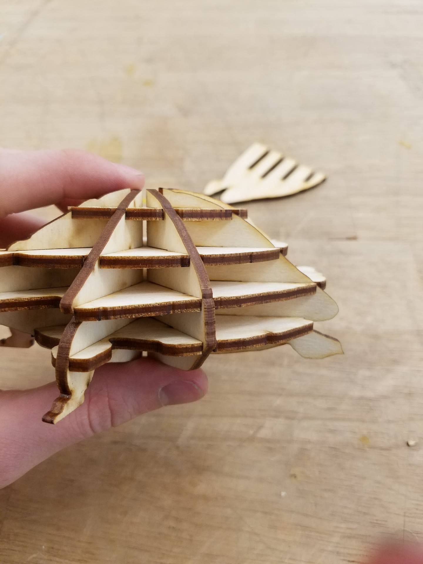 Laser Cut Turtle : 3 Steps (with Pictures) - Instructables
