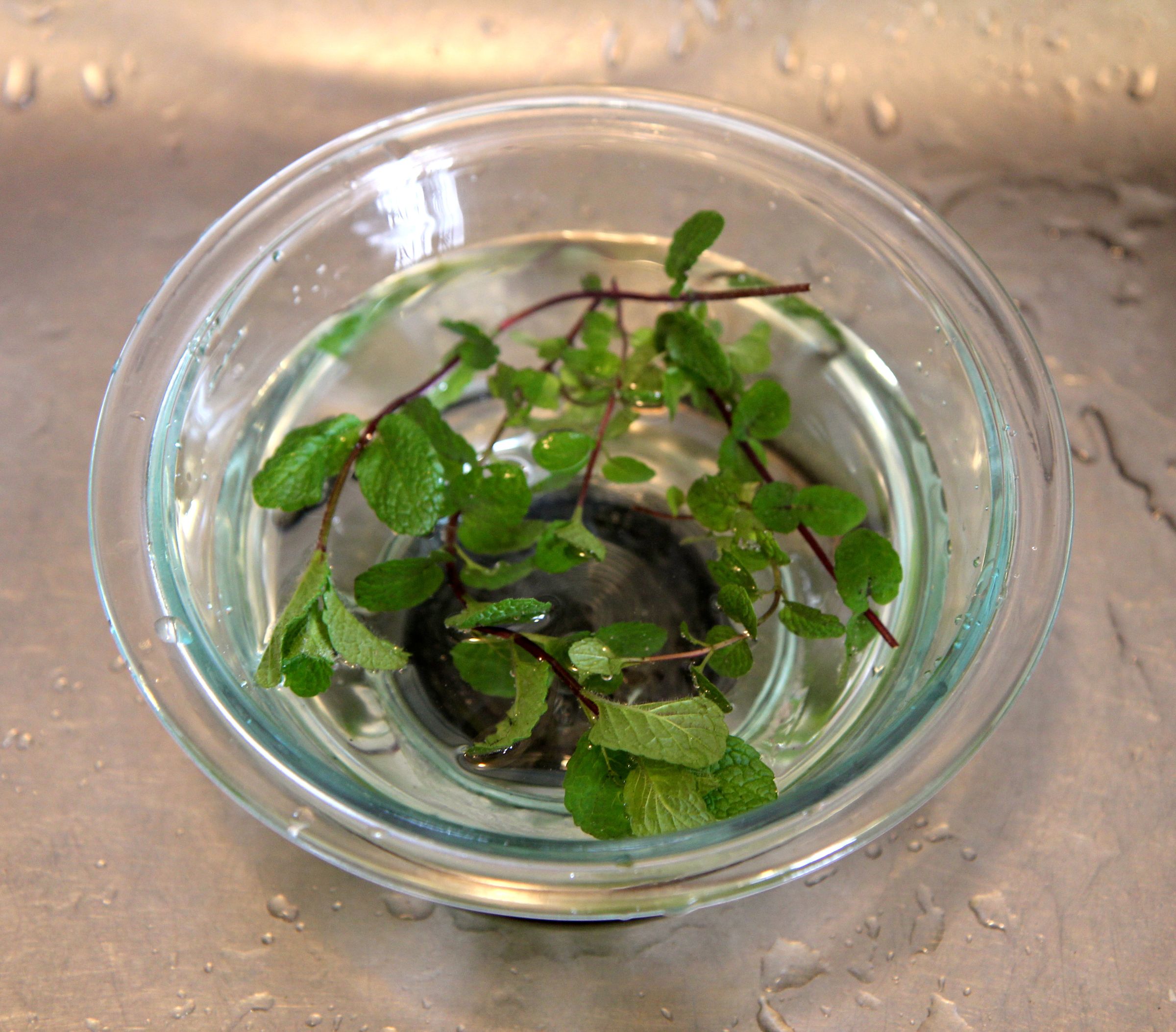 Freezing Fresh Herbs : 5 Steps (with Pictures) - Instructables