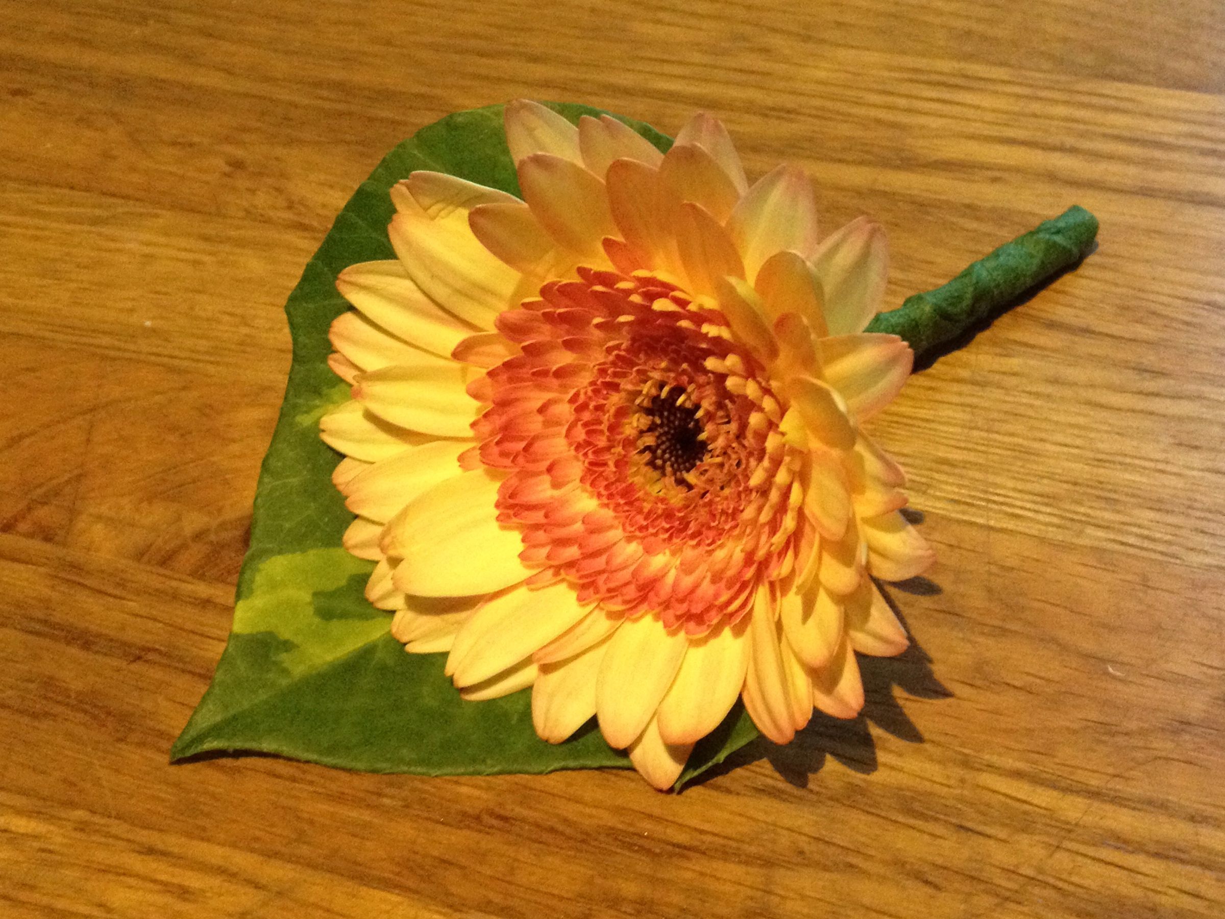 Easy Flower Corsages (Using Magnets) : 6 Steps - Instructables