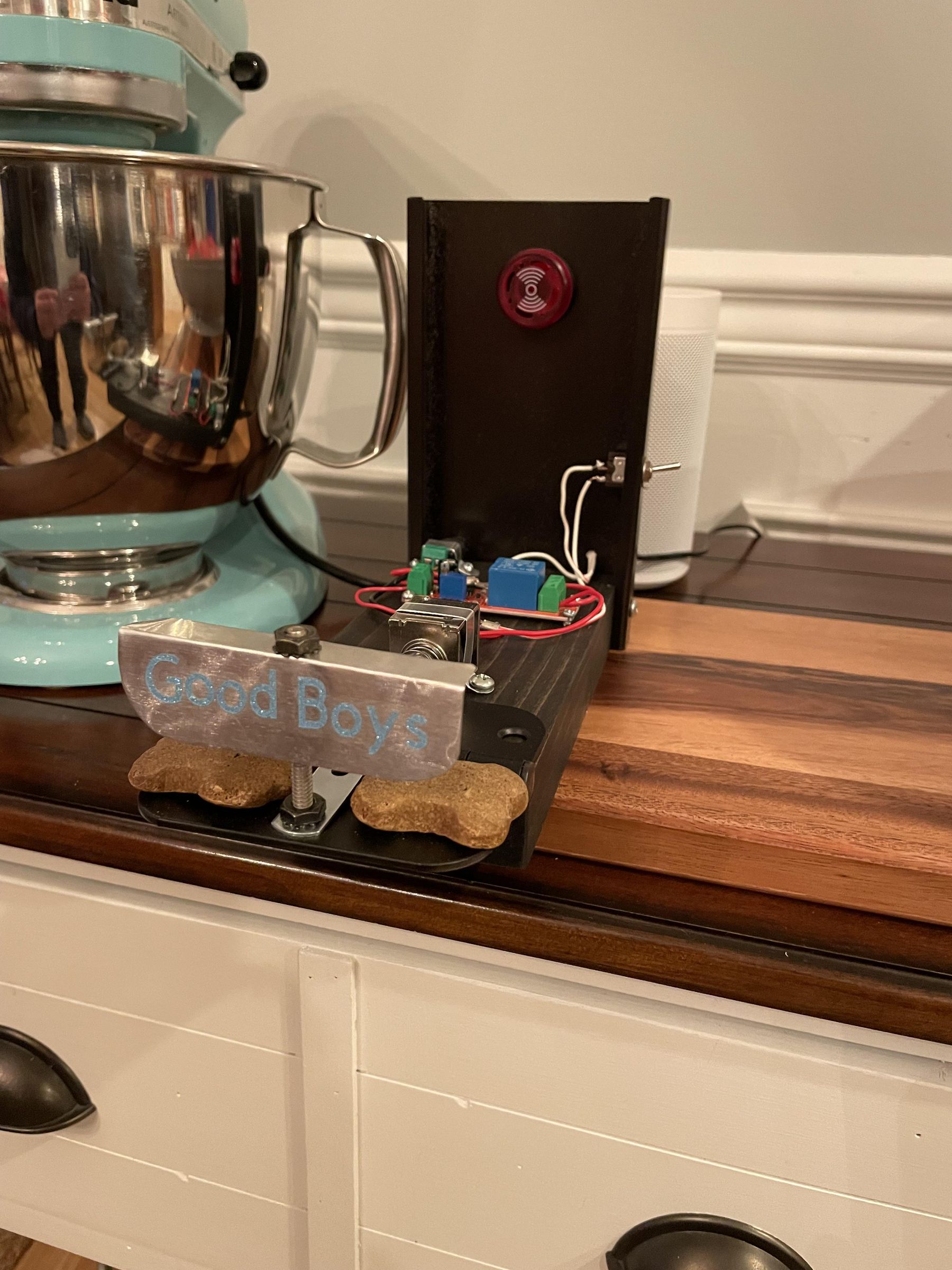 Alexa/Google Home Enabled Automatic DOG TREAT Dispenser : 10 Steps ...