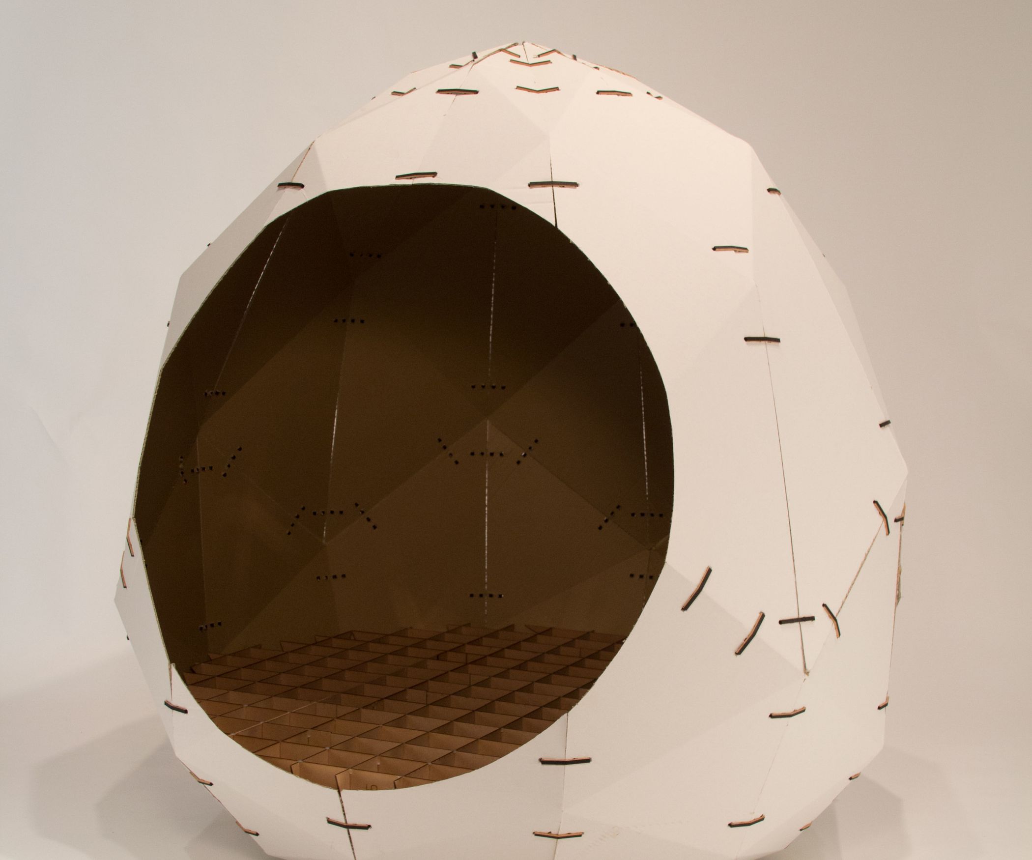 EGG SHELL : 5 Steps (with Pictures) - Instructables