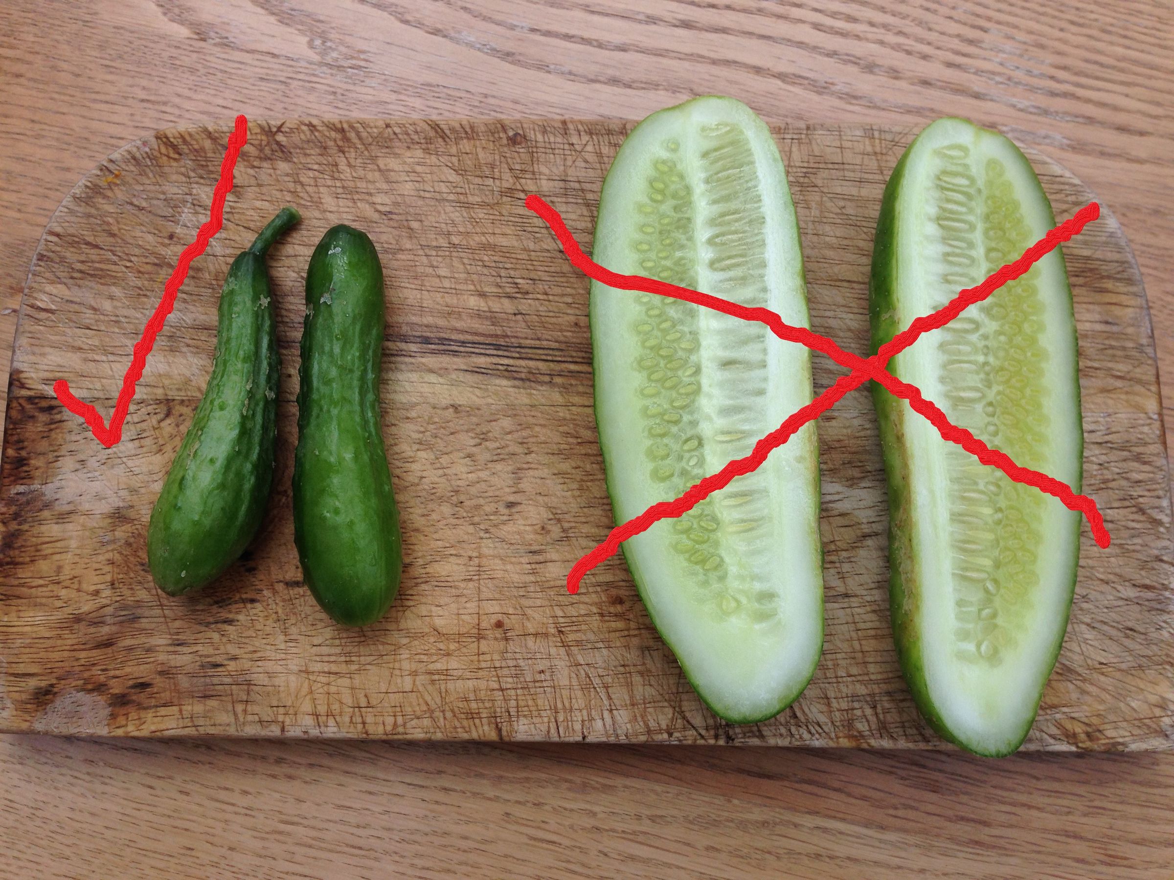 What to Do With Summer Cucumbers Surplus. : 4 Steps (with Pictures ...