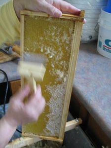 Honey Harvest and Extraction : 16 Steps (with Pictures) - Instructables
