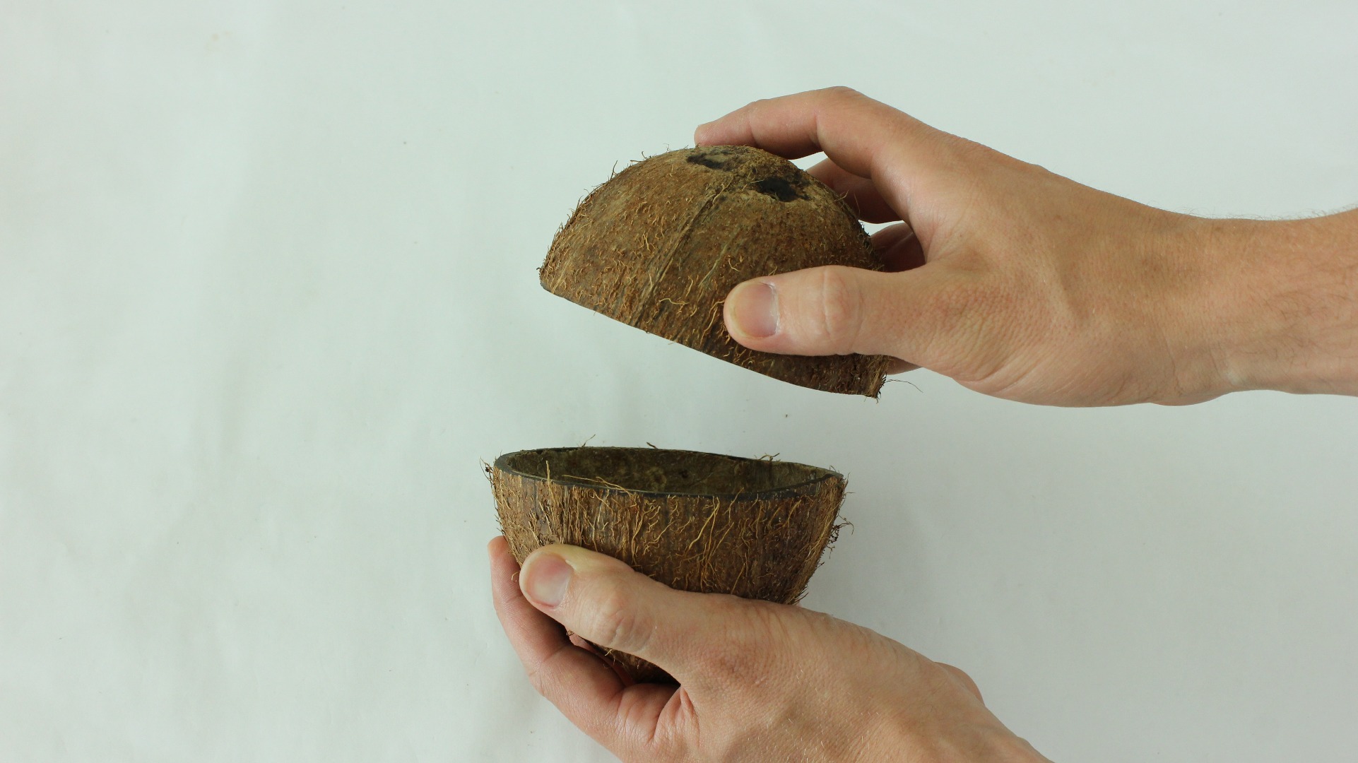 31 Unusual Uses for Coconuts : 31 Steps (with Pictures) - Instructables