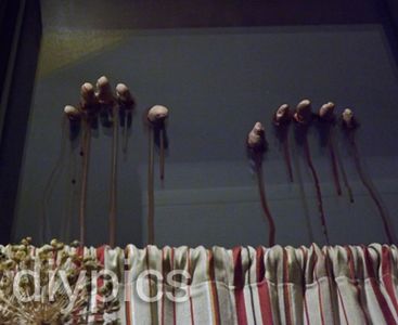 Creepy Halloween Fingers : 5 Steps (with Pictures) - Instructables