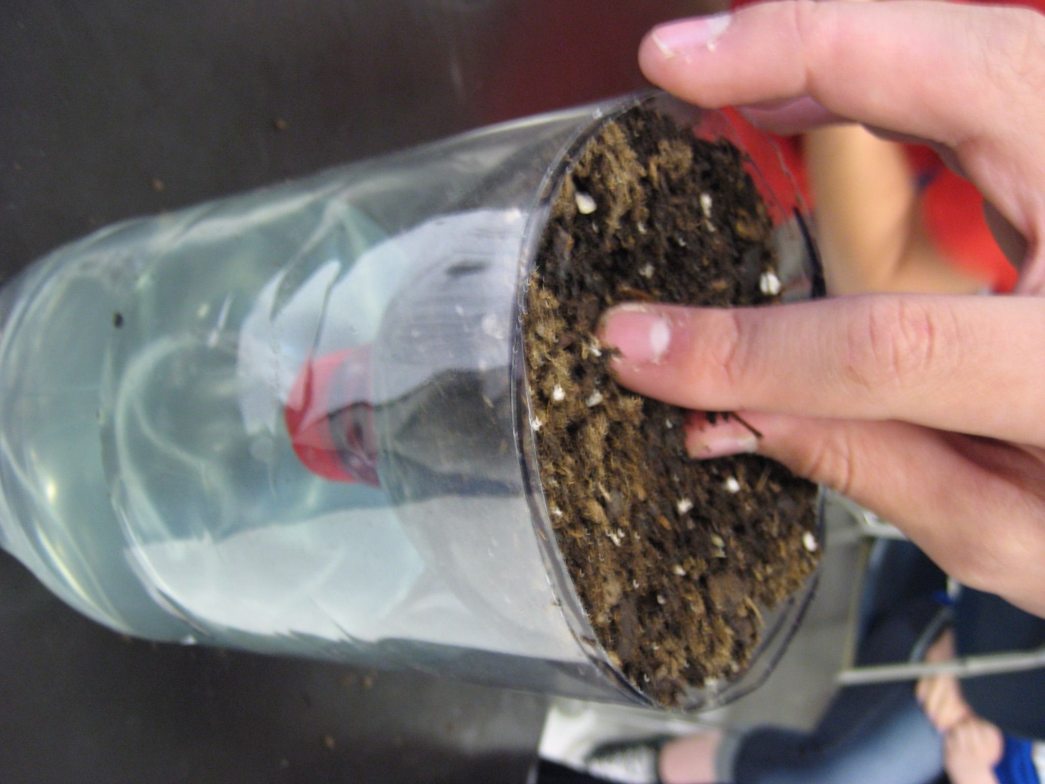 Simple Hydroponics Wick System : 6 Steps (with Pictures) - Instructables