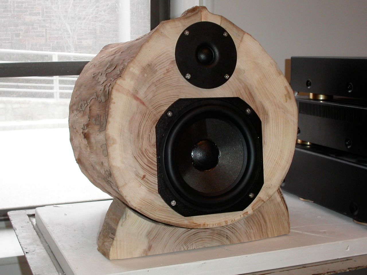 Tree Speakers : 10 Steps (with Pictures) - Instructables