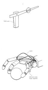 Caress the Gaze: 3D Printed Structures Using SMA Actuators : 6 Steps ...