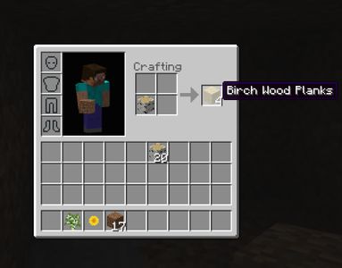 How to Survive Your First Day in Minecraft : 10 Steps (with Pictures ...