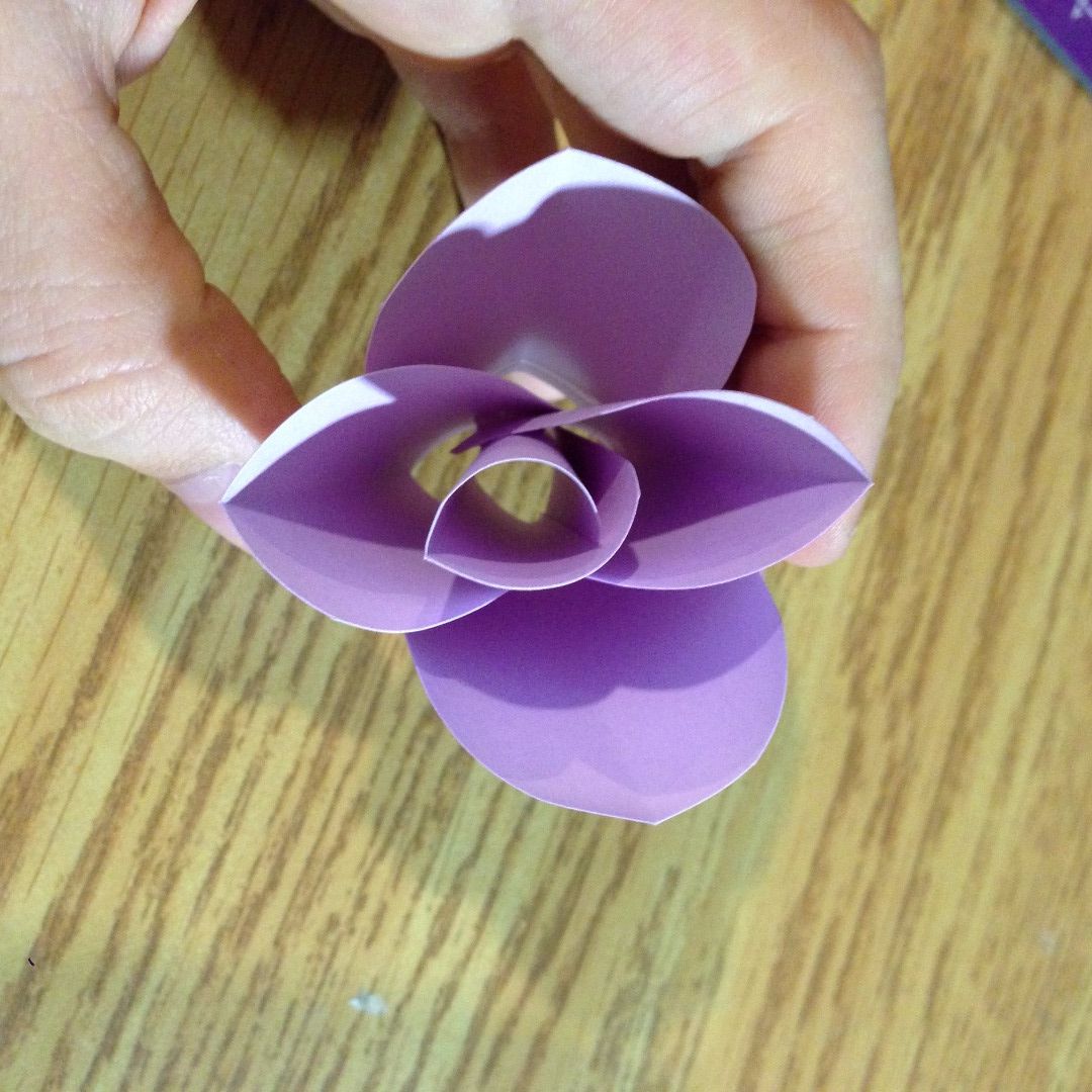 Cardstock Paper Flowers : 5 Steps (with Pictures) - Instructables
