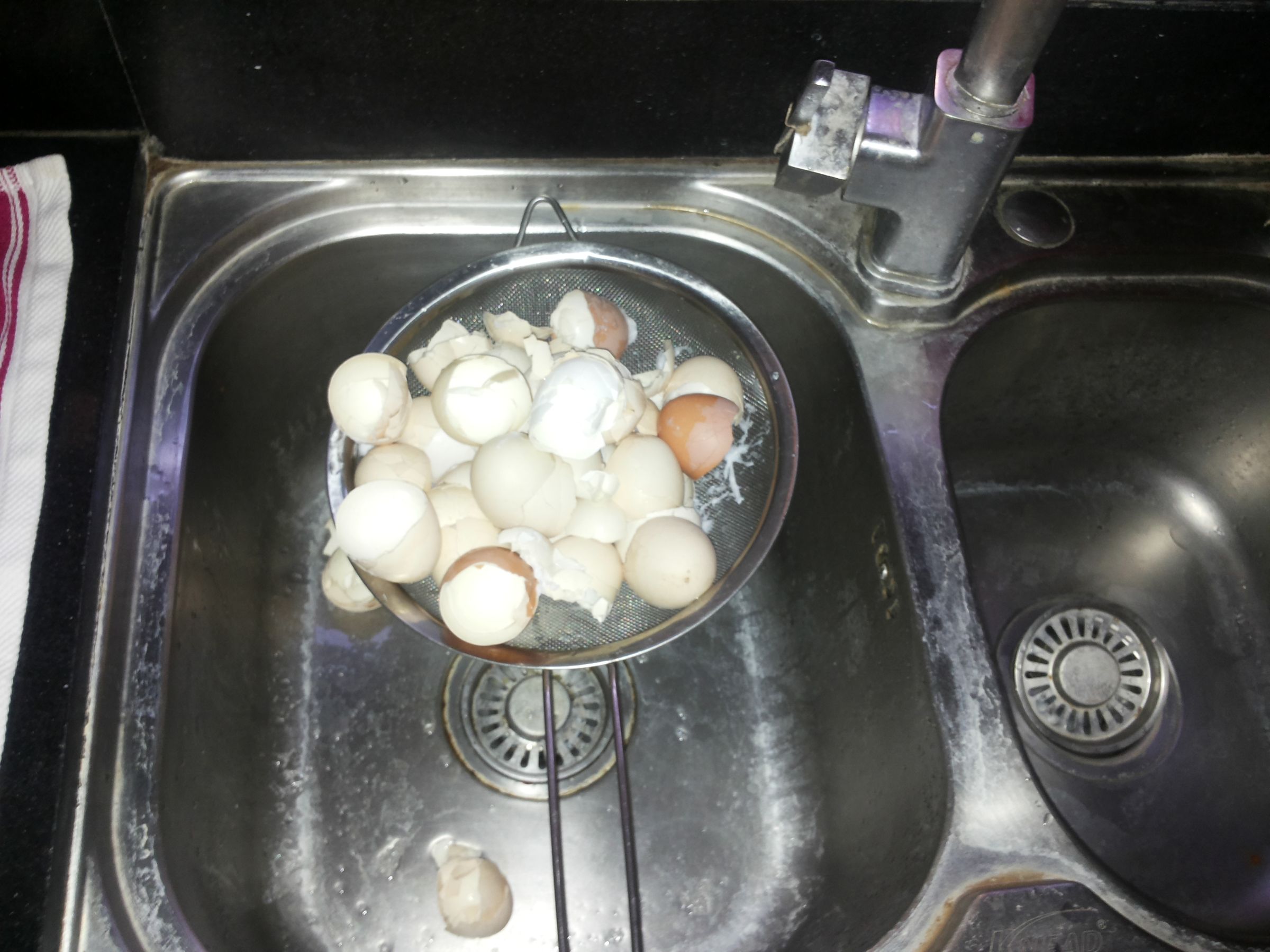 Make an Eggshell Sculpture ! : 6 Steps (with Pictures) - Instructables