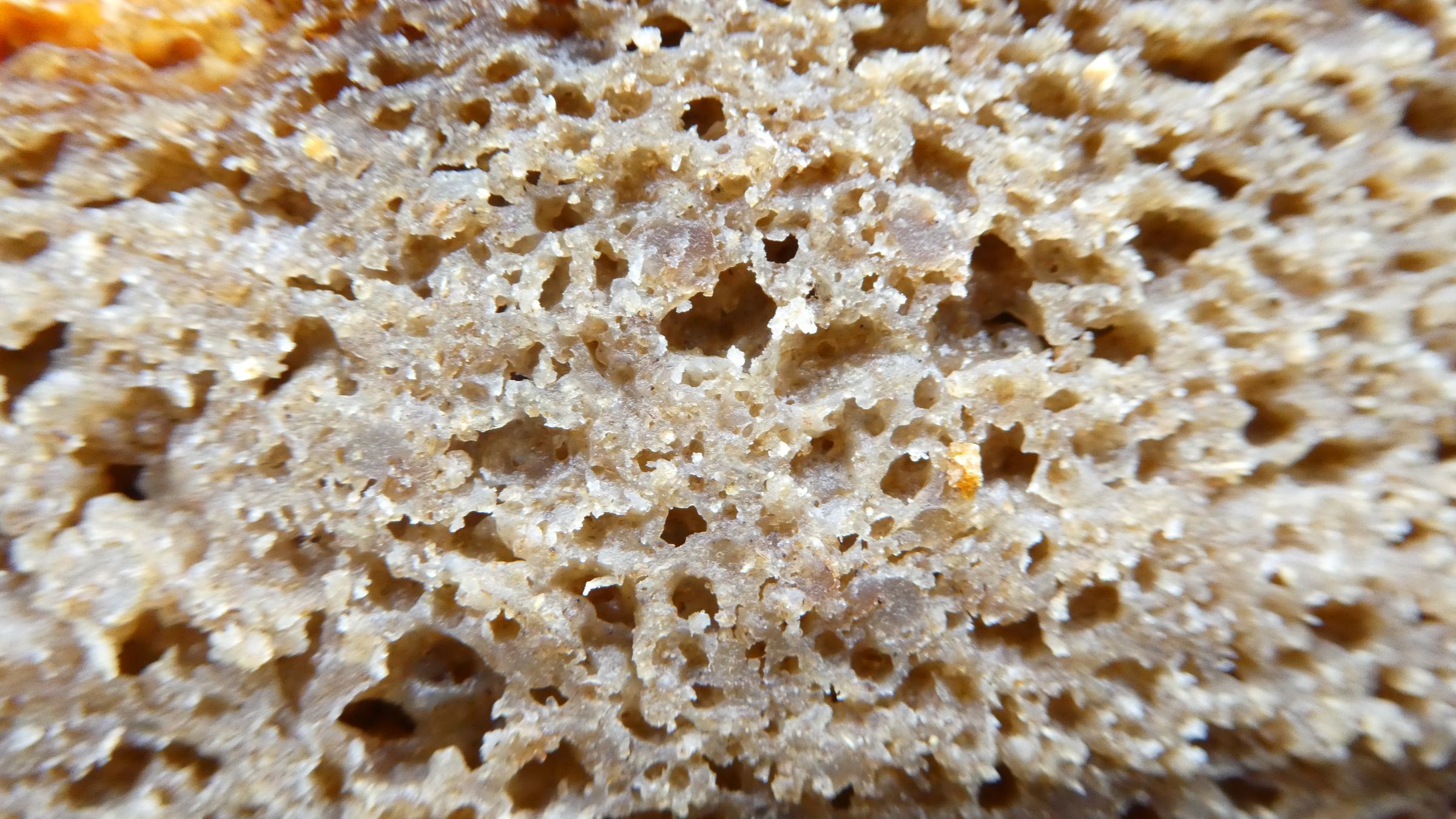 Pure Rye Bread : 31 Steps (with Pictures) - Instructables