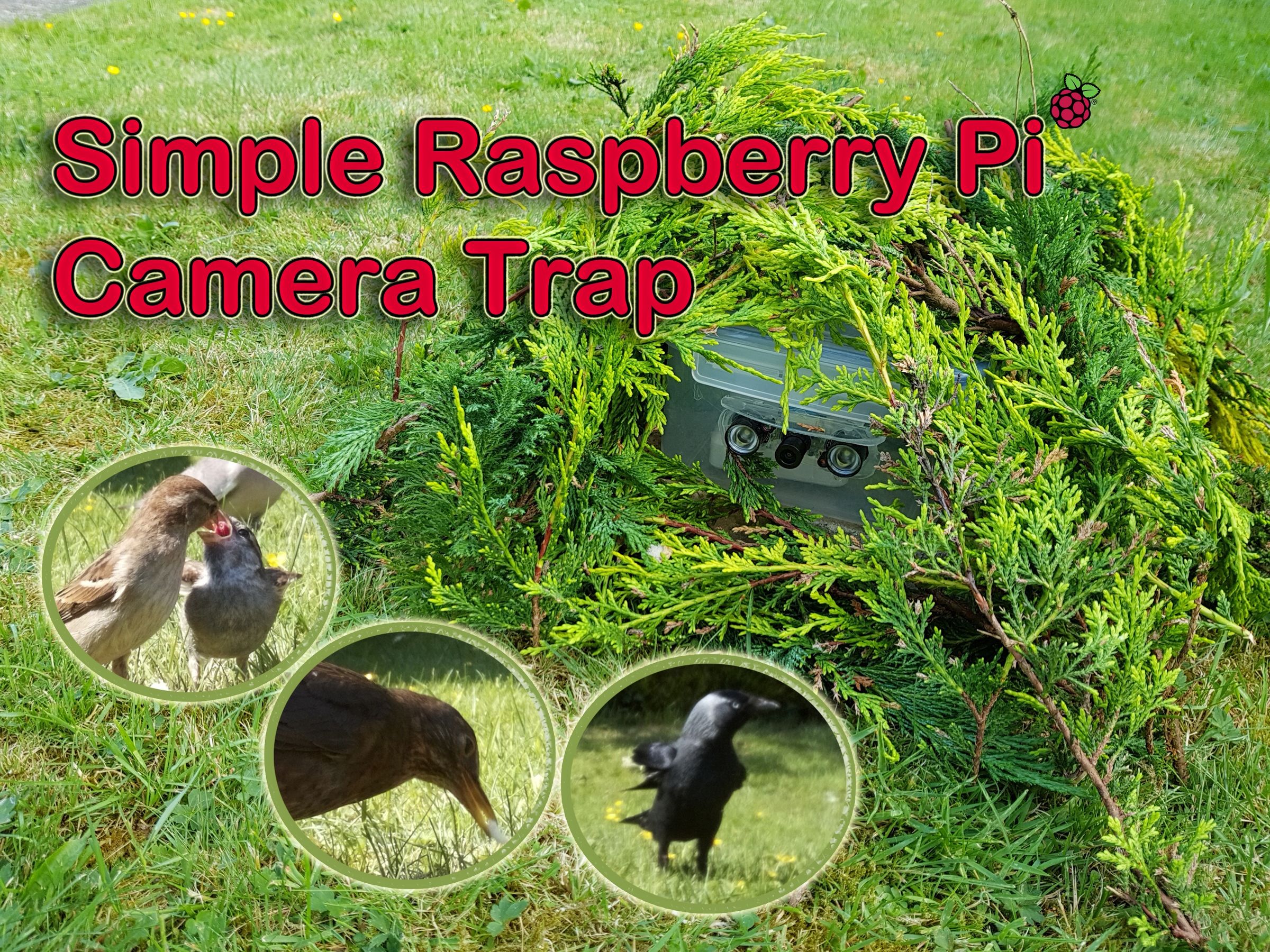 Simple Raspberry Pi Camera Trap Made From a Food Container : 6 Steps (with Pictures) - Instructables