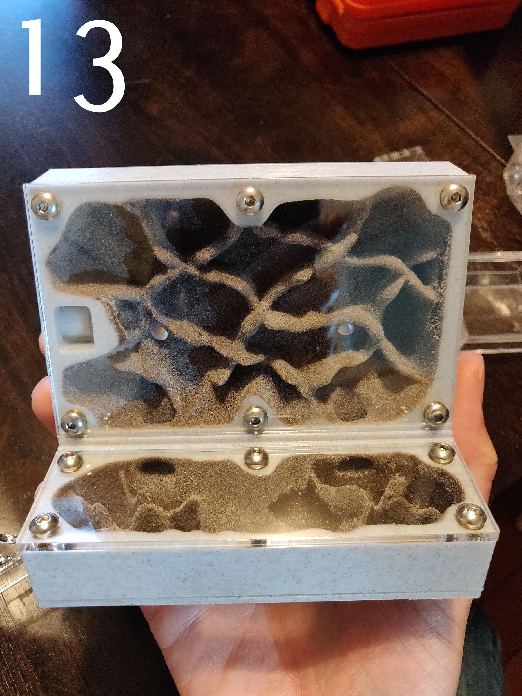 Medium Modular Formicarium (Ant Farm) : 18 Steps (with Pictures ...