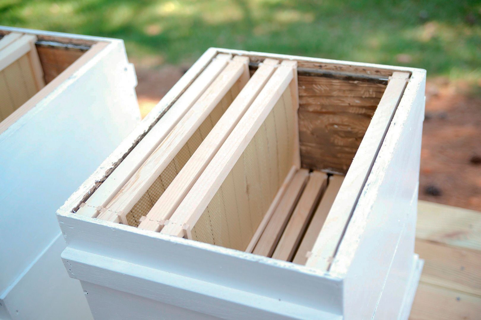 Start a Back Yard Honey Bee Hive : 10 Steps (with Pictures) - Instructables
