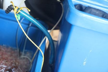 Low-tech Hydroponics System : 6 Steps (with Pictures) - Instructables