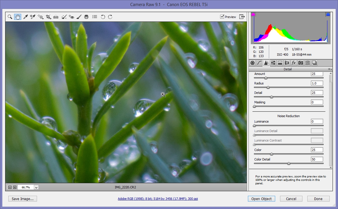 A Complete Beginner's Guide to Raw Files and Raw Processing : 11 Steps ...
