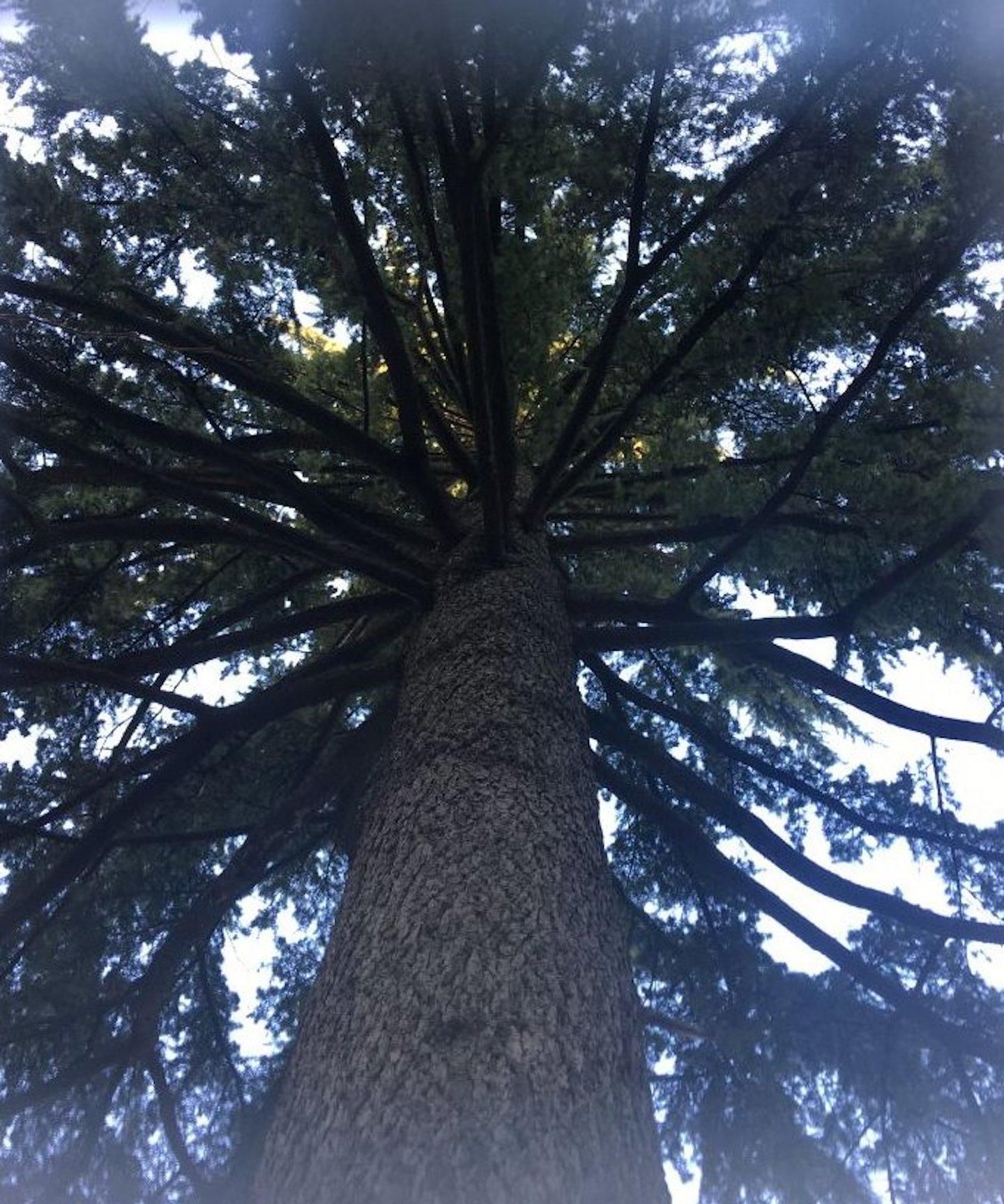 An Angle Viewfinder for an IPhone : 4 Steps (with Pictures) - Instructables