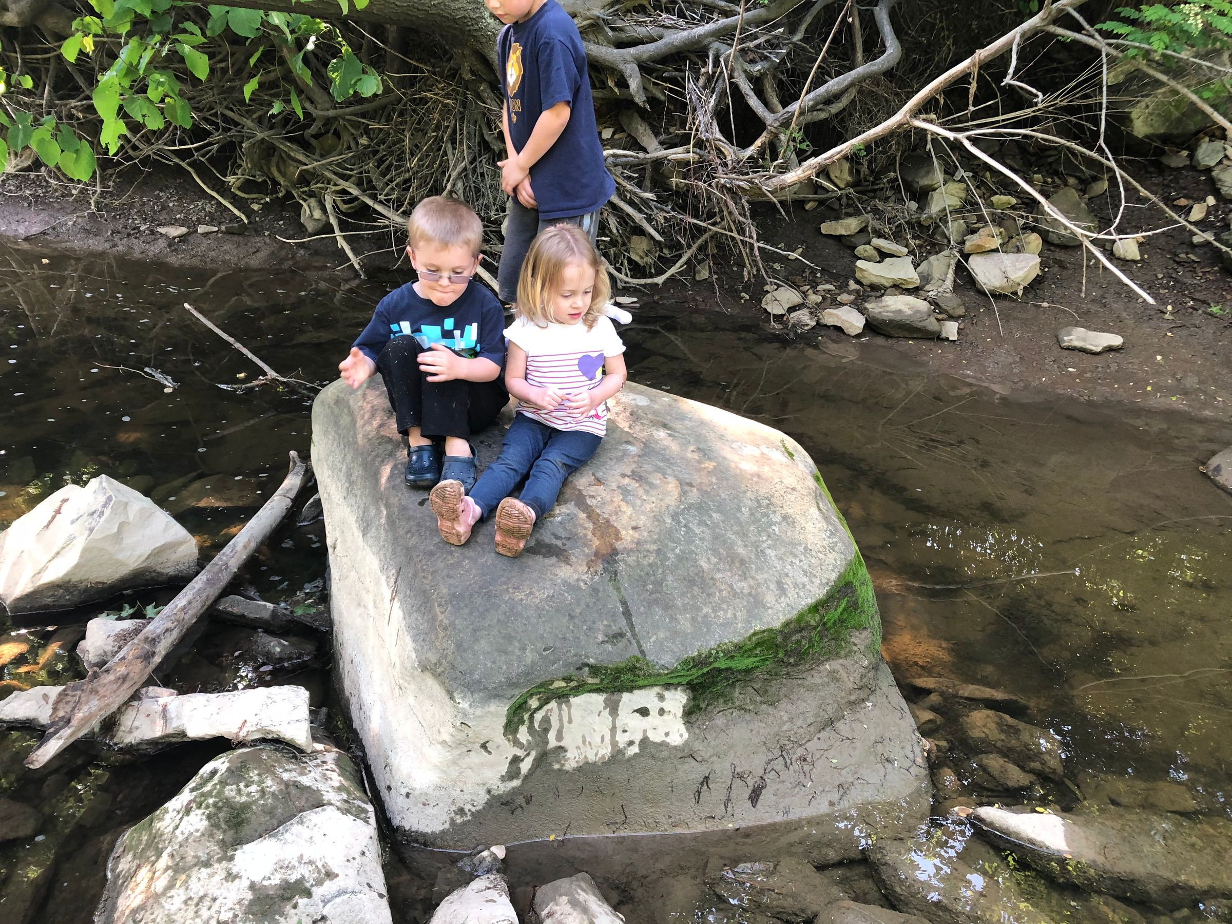 Log Path Cut Into a Hill : 5 Steps (with Pictures) - Instructables