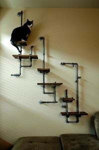 Cat Wall : 5 Steps (with Pictures) - Instructables