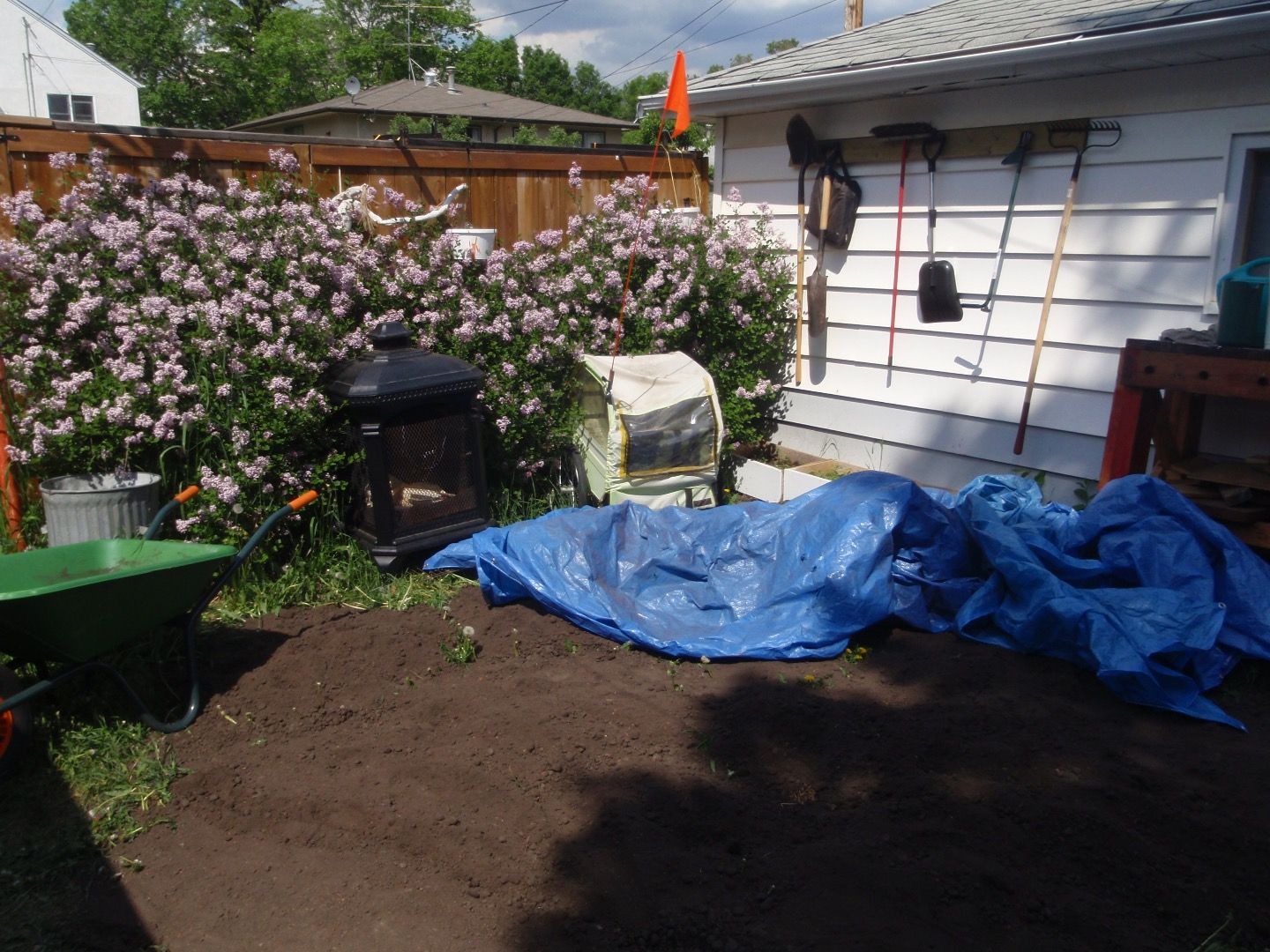 Restore a Backyard With Dead Soil (Before and After) : 9 Steps (with ...