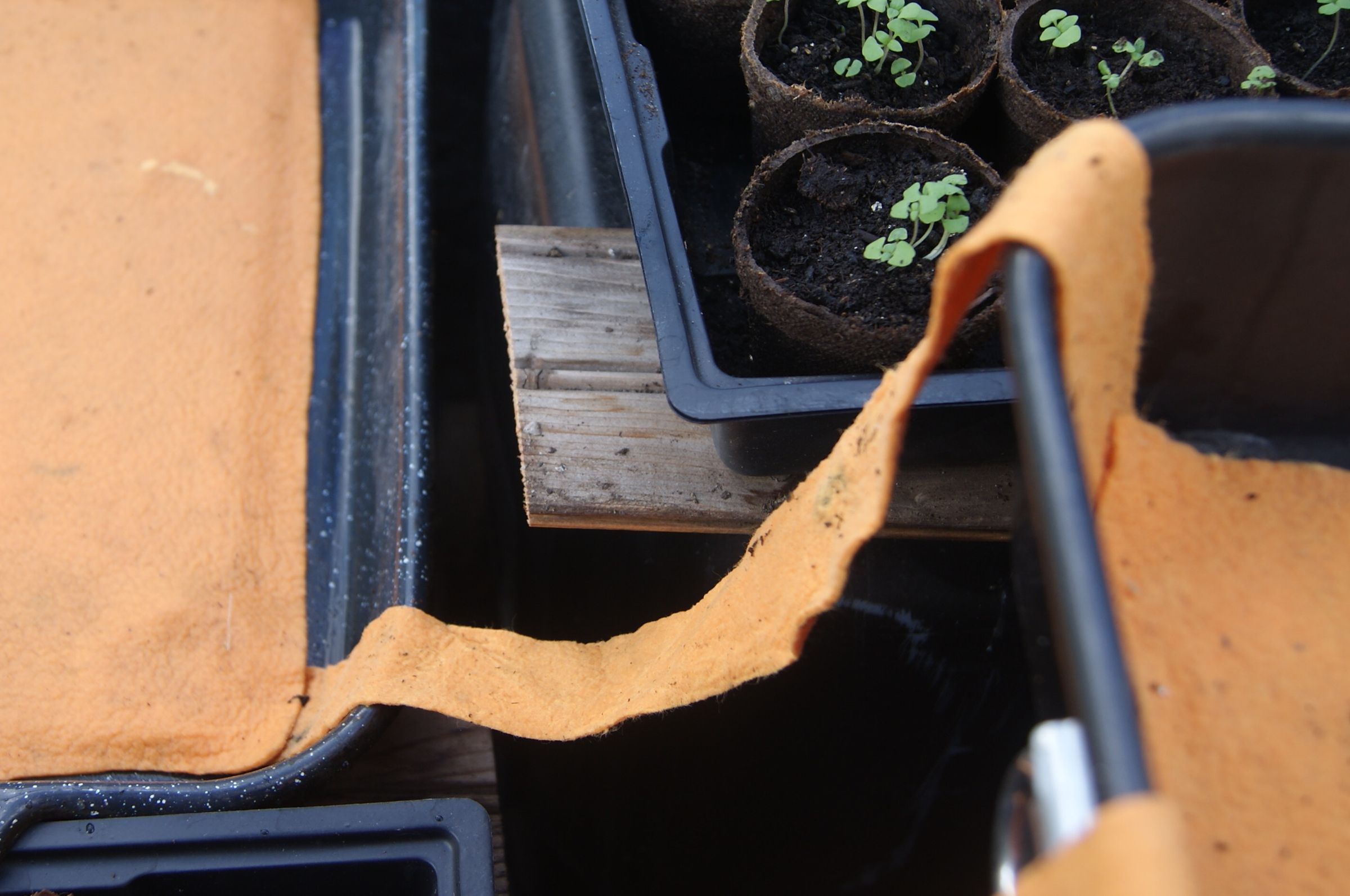 Capillary Action Plant Waterer : 5 Steps (with Pictures) - Instructables