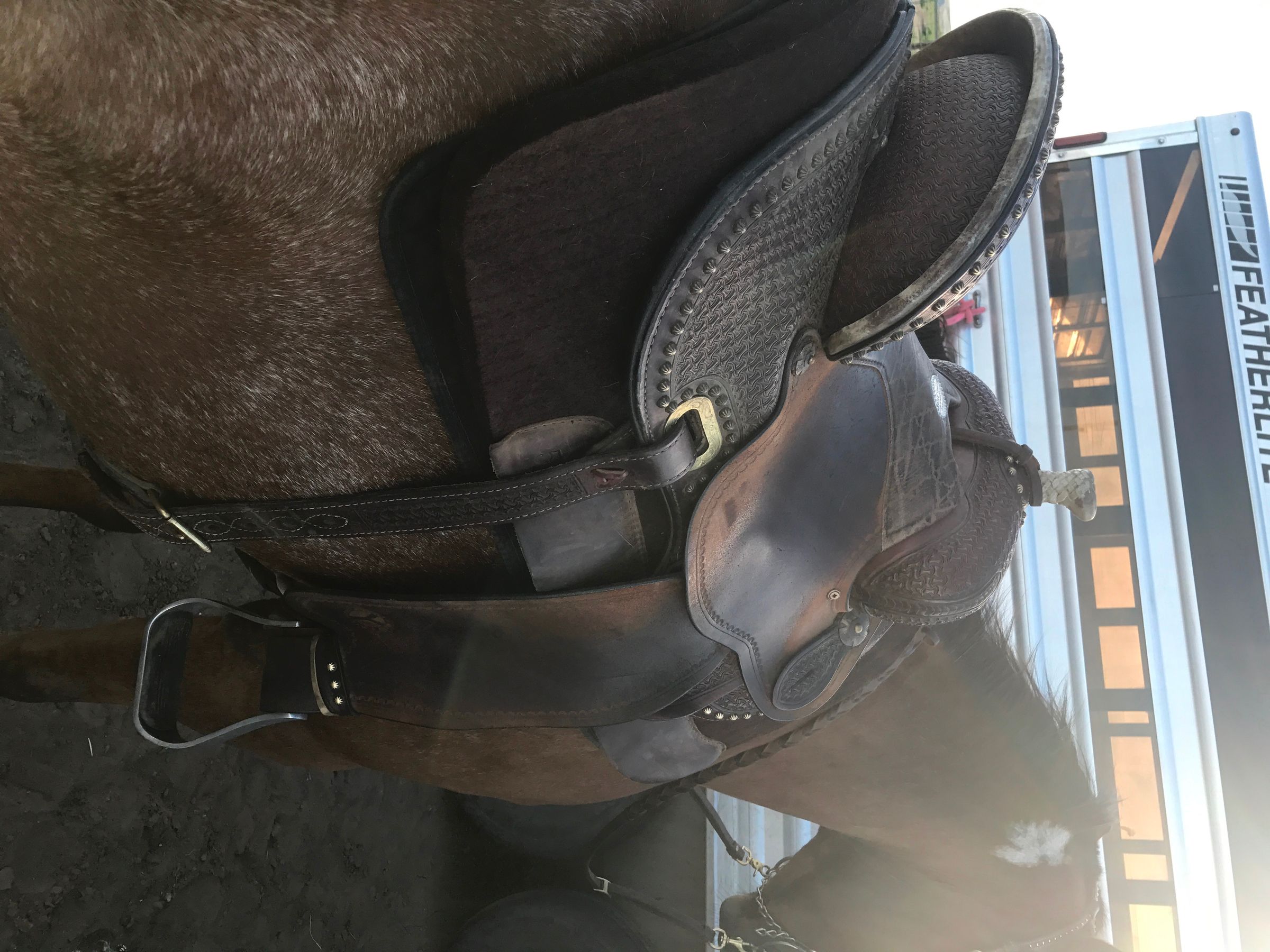 How to Saddle a Horse : 9 Steps (with Pictures) - Instructables