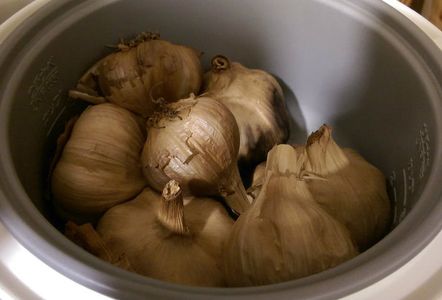 Black Garlic - Probably the Easiest Way to Make It at Home! : 5 Steps ...