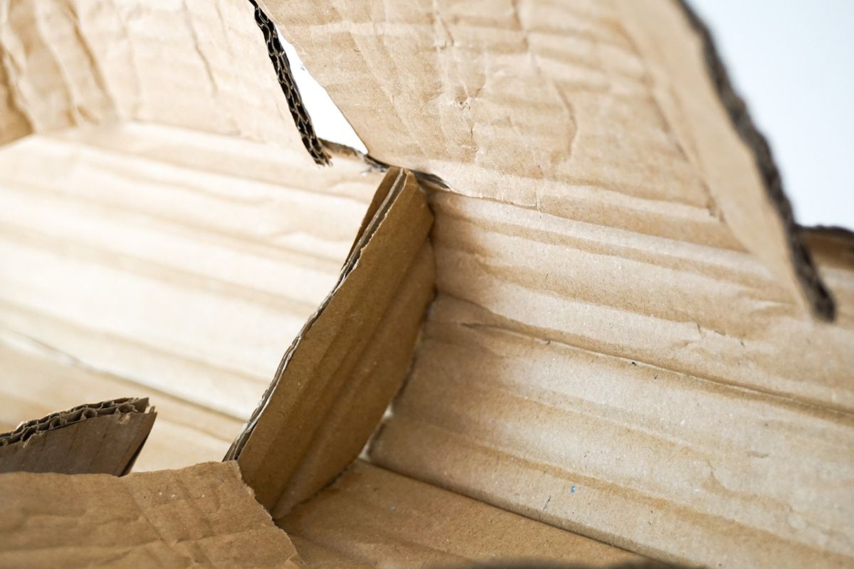 DIY Cardboard Pangolin | Sculpt an Armoured Animal With Recycled Card ...