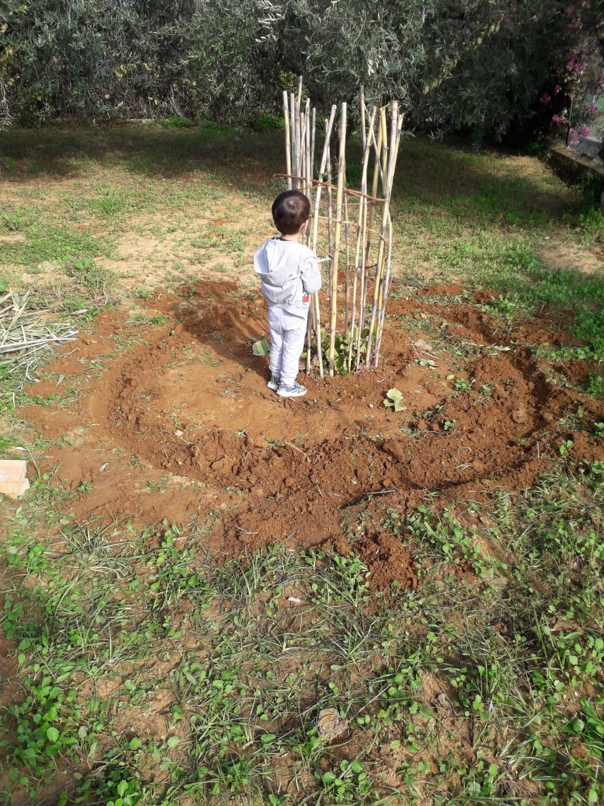 Keyhole Garden : 12 Steps (with Pictures) - Instructables