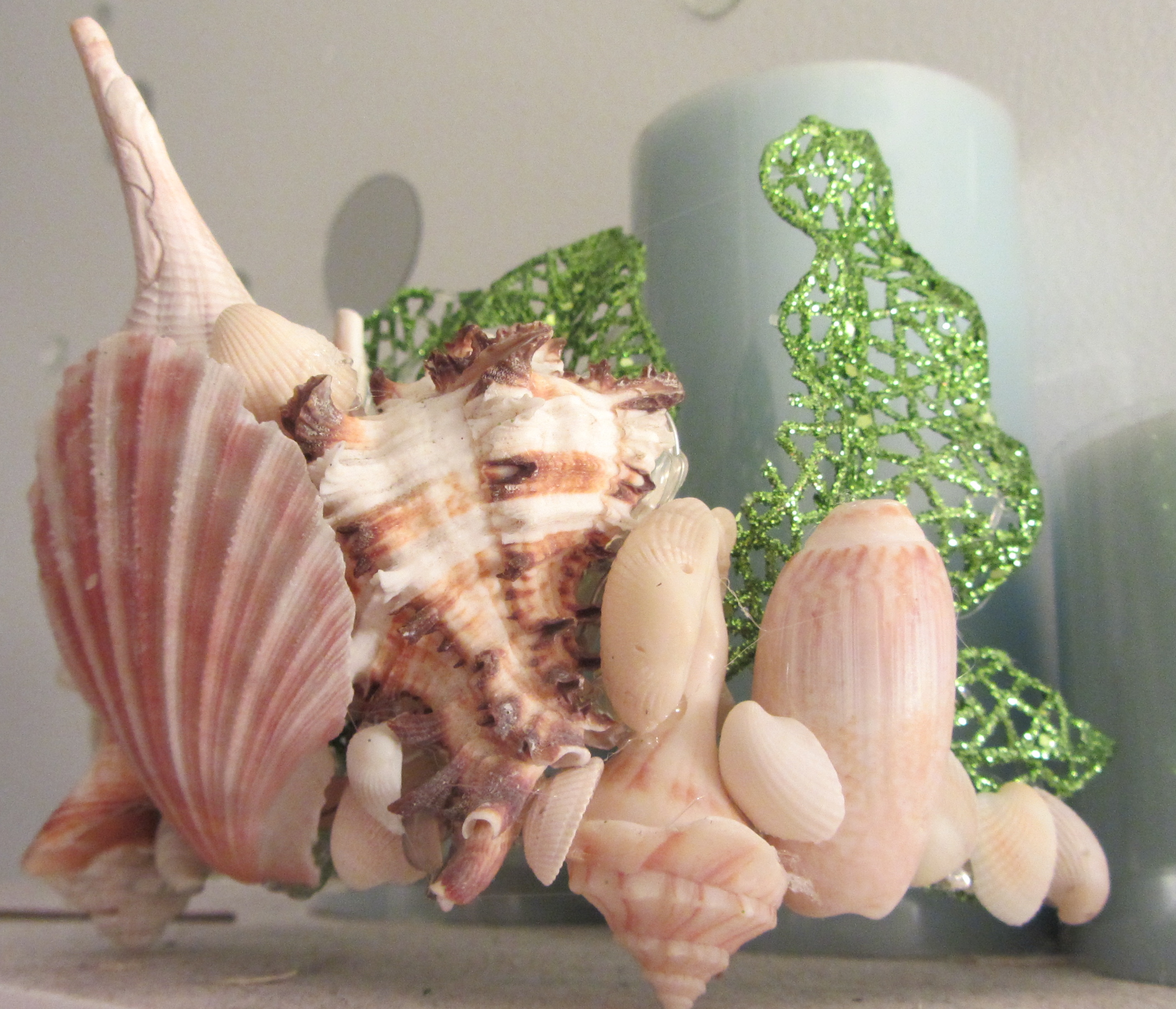 DIY Mermaid Shell Crown : 6 Steps (with Pictures) - Instructables
