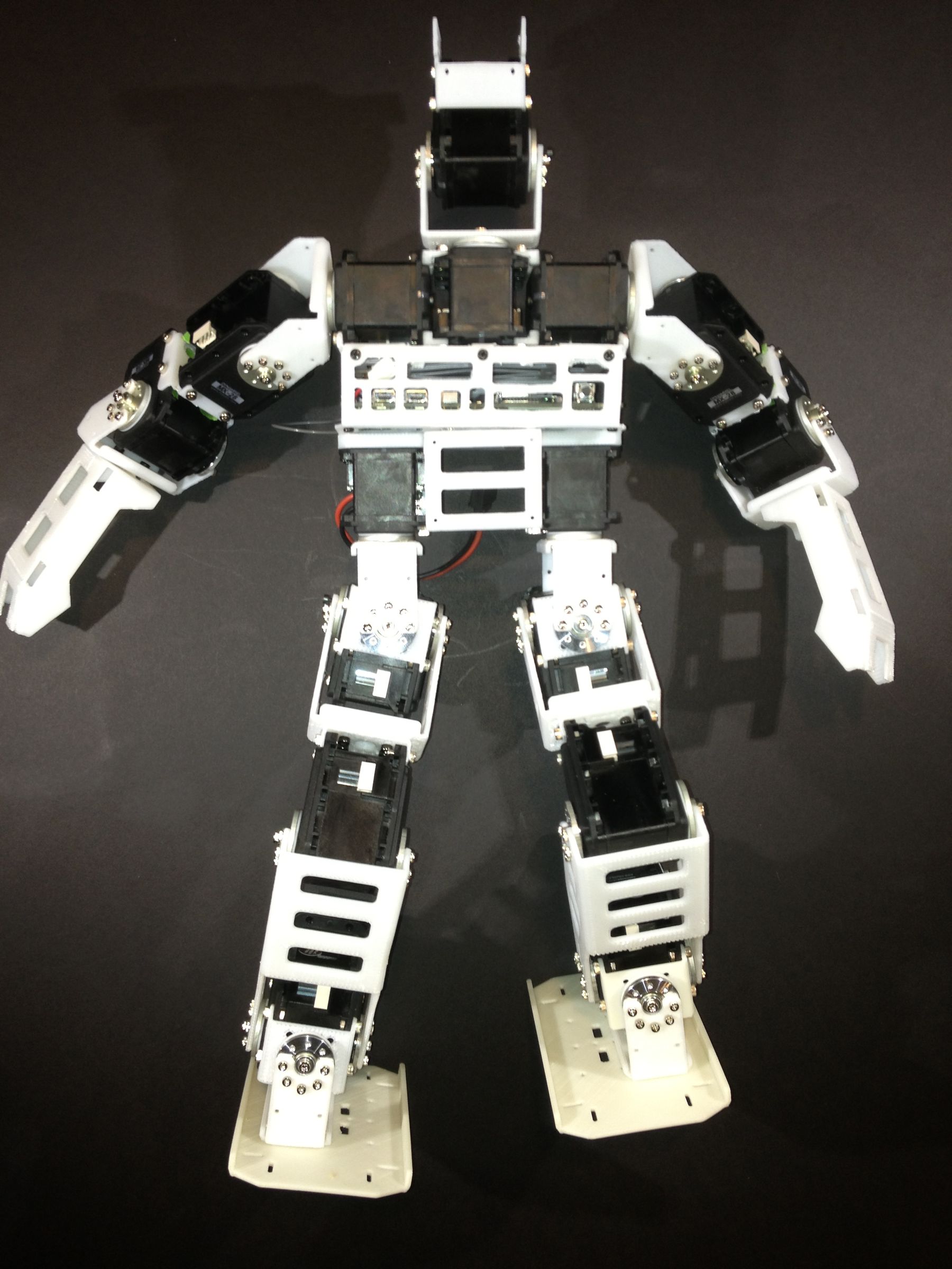 Robot Cloning by DIY 3d Printers! : 18 Steps (with Pictures ...