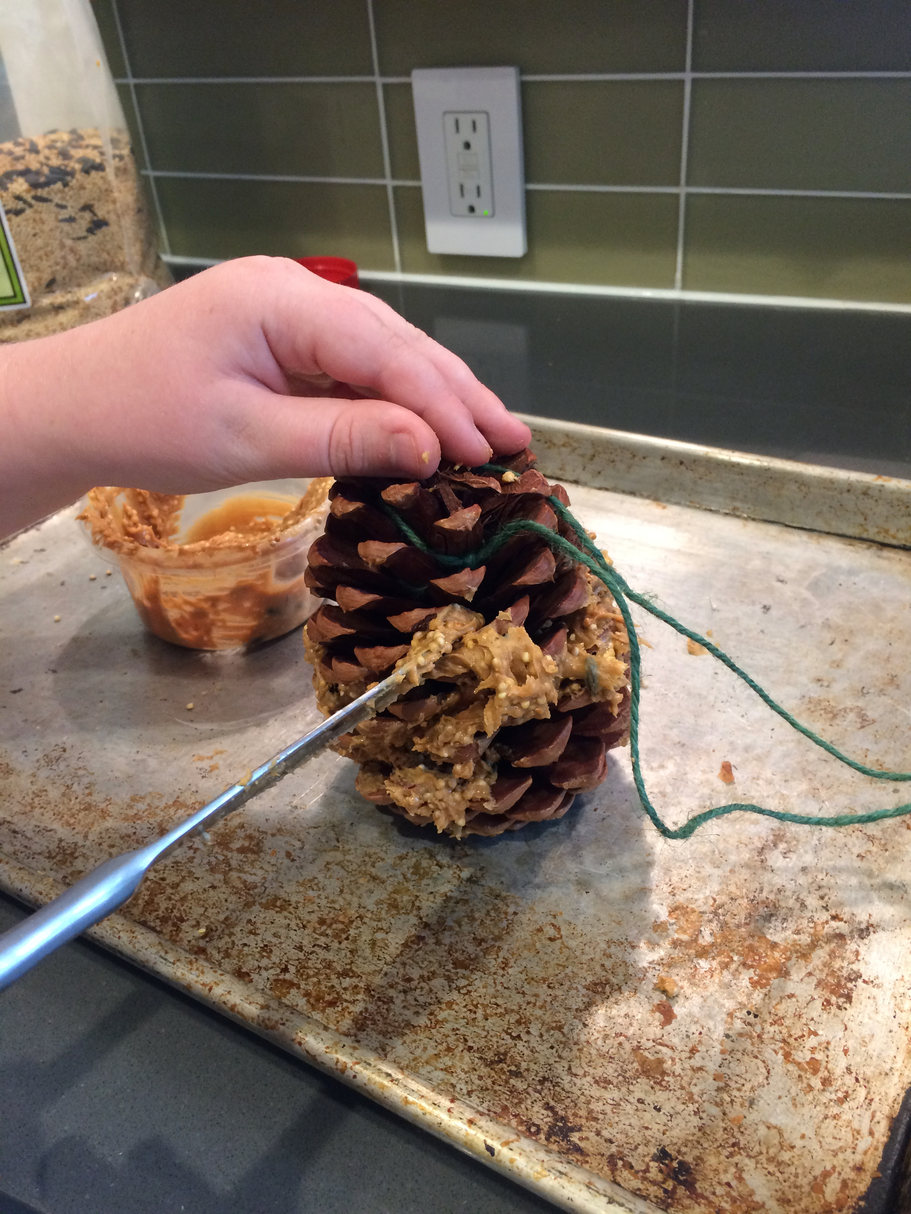 Pine Cone Bird Feeder : 5 Steps (with Pictures) - Instructables