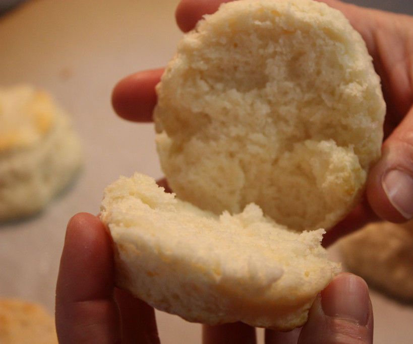 How to Make Perfect Homemade Biscuits : 6 Steps (with Pictures ...