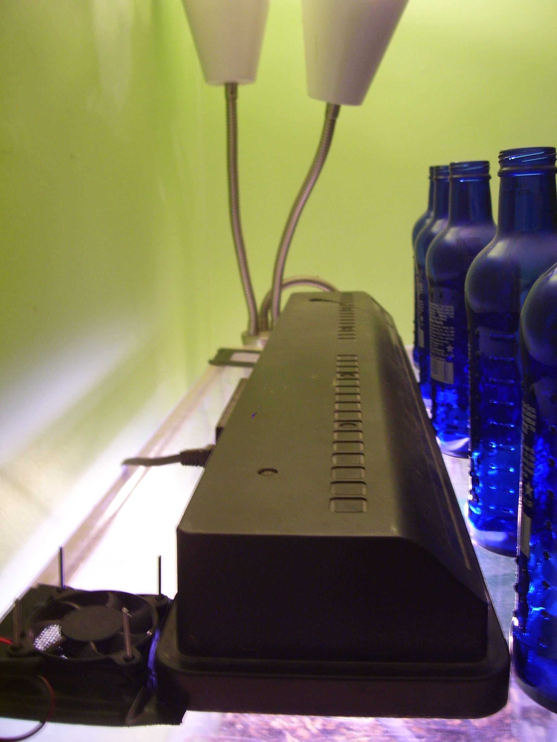 How to Care for a Praying Mantis : 4 Steps - Instructables