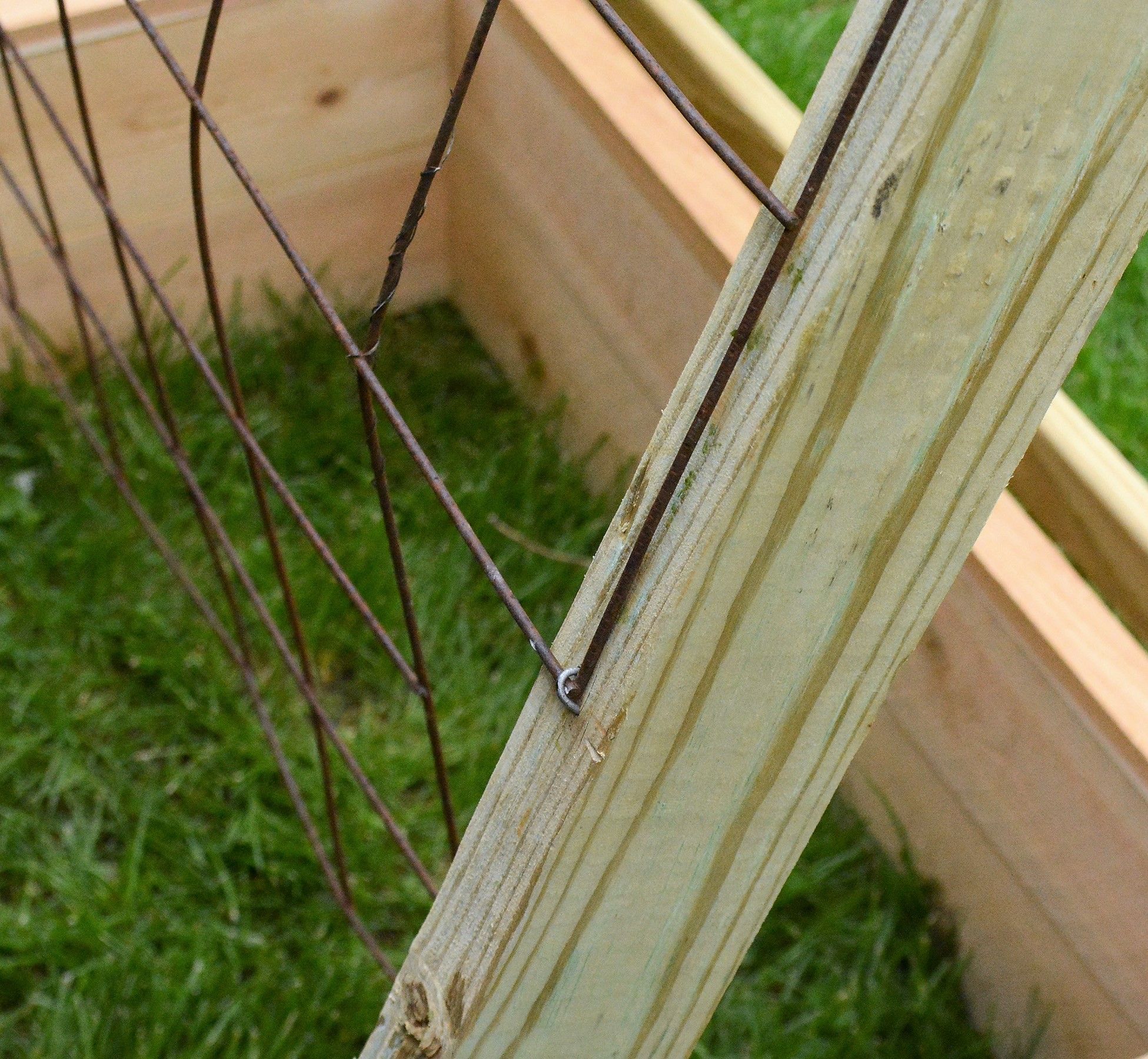 My Best Vegetable Trellis: Durable, Collapsible, Flexible : 8 Steps ...