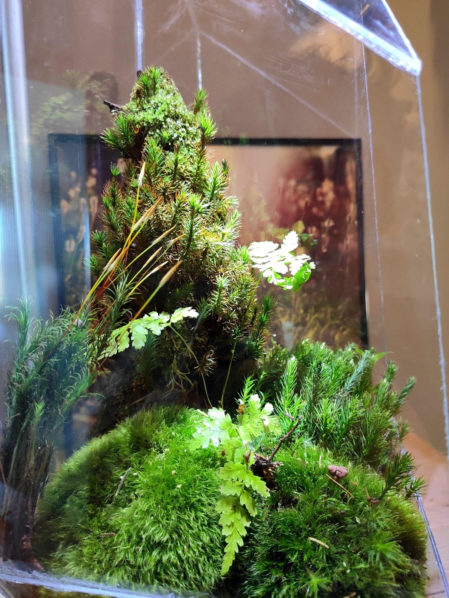 The Eco-Crystal - Mini Ecosystem in a Crystal Shaped Planter : 7 Steps ...