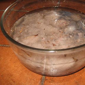 How to Make Paper Out of Lint : 7 Steps (with Pictures) - Instructables