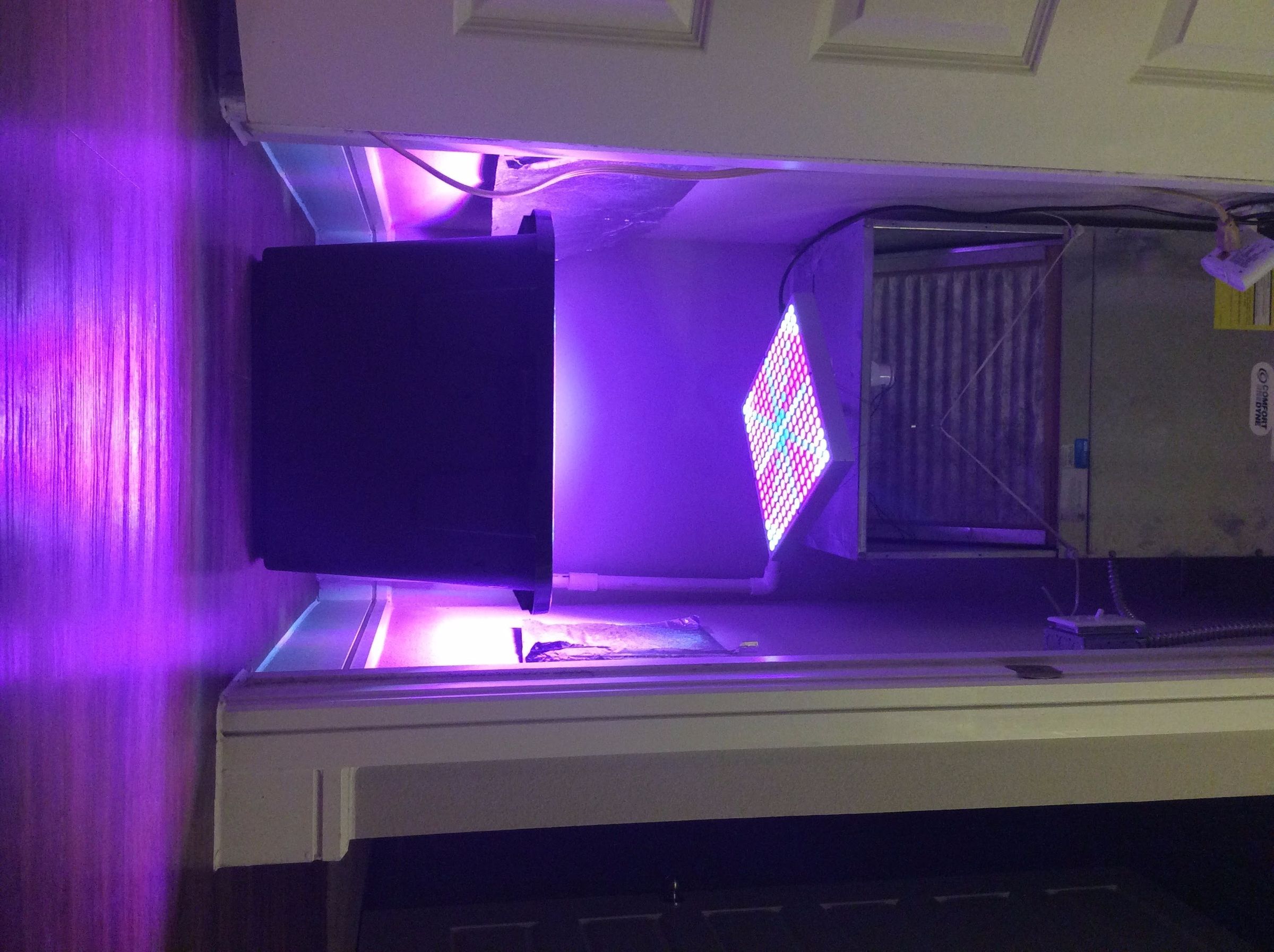 TRUE Aeroponics - Simple Indoors Low Water Lettuce Growing Fogponics ...