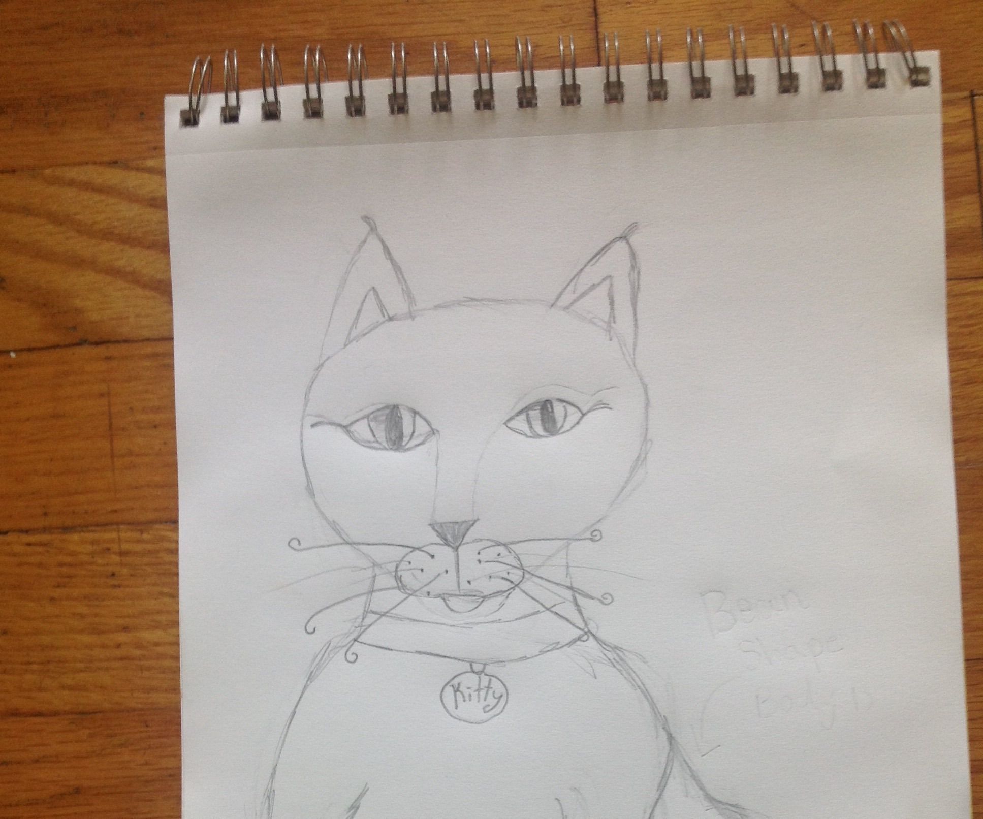 How to Draw a Fat Cat : 9 Steps - Instructables
