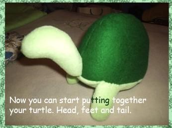 Turtle Tutorial : 15 Steps (with Pictures) - Instructables