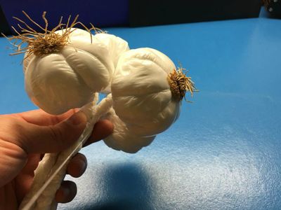 How to Make Fake Garlic With Plastic Bags : 6 Steps (with Pictures ...